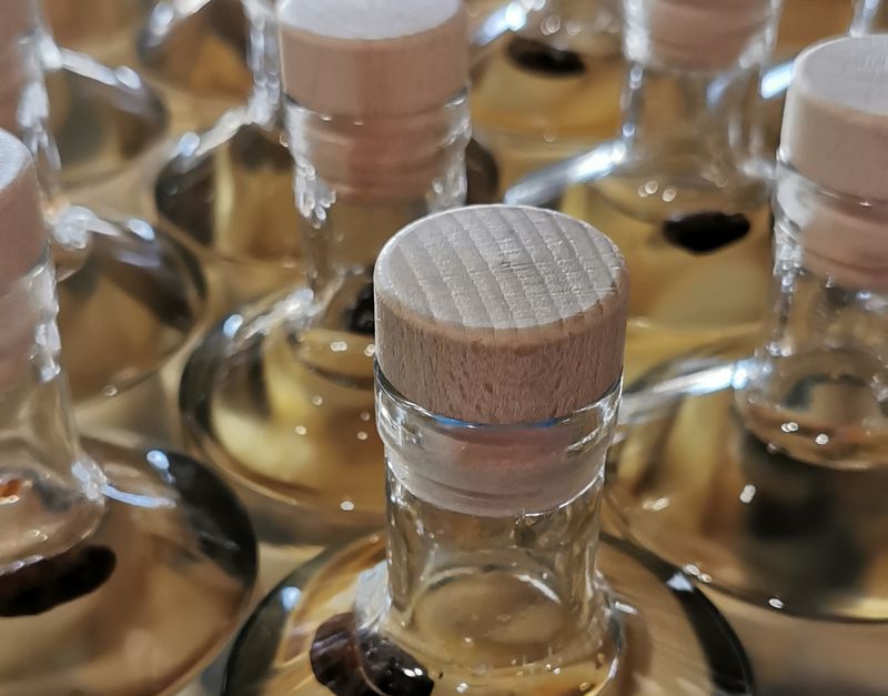 Coincés dans les bouchons. - La Fabrique à Alcools